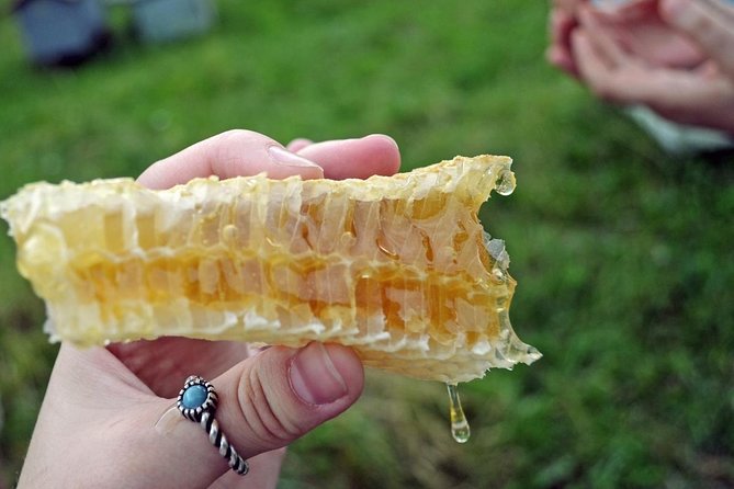 Beekeeping Day Trip| Private Guided Tour from Bucharest - An In-Depth Look at the Beekeeping Tour