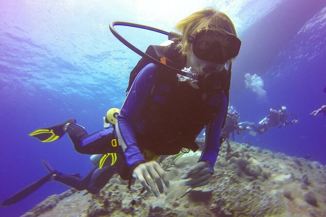 Belek Scuba Diving Experience (2 Dives) With Lunch - The Itinerary Breakdown