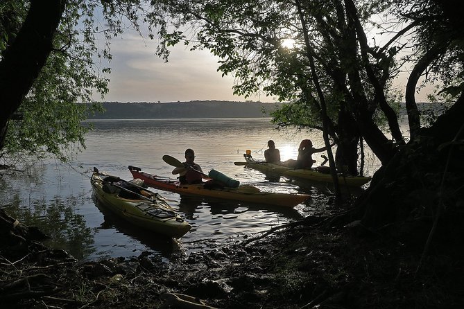 Belgrade War Island Kayak Tour - What to Expect on the Tour