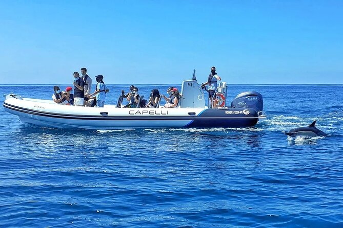 Benagil Caves Visit with Dolphins Watching from Albufeira - Why This Tour Stands Out