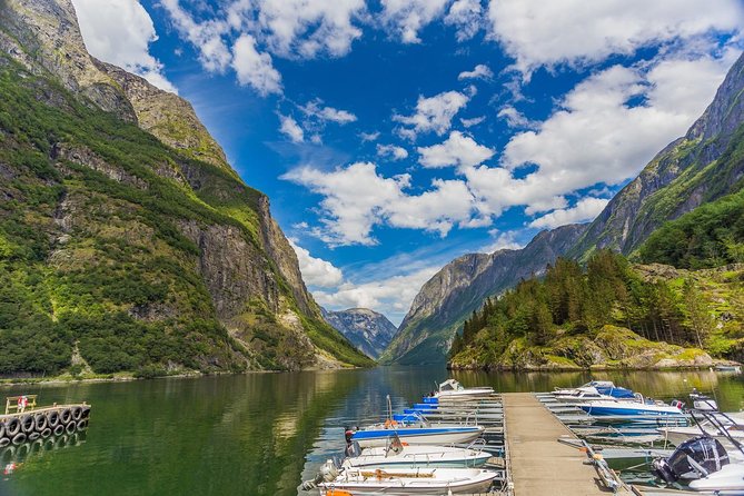 Bergen to Sognefjord Private Roudtrip with Cruise and Flasmbana - Authenticity, Value, and the Review Perspective