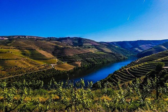 Best of Douro Valley Wine Full Day Private Tour - The Experience: An In-Depth Look at the Douro Valley Private Tour