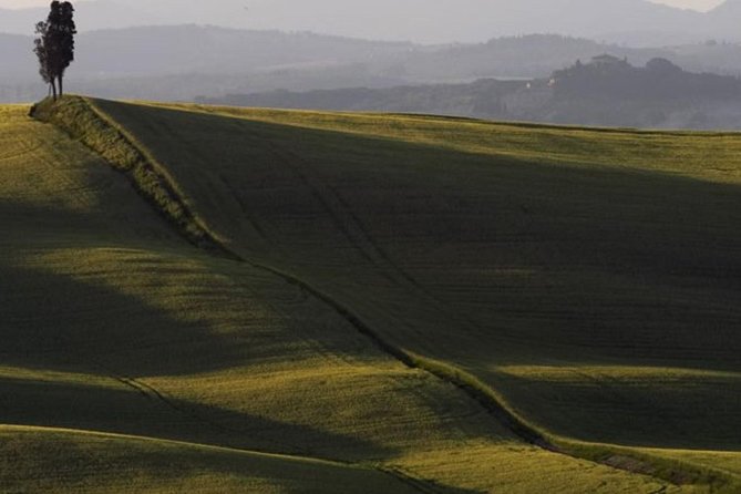 Bike Ride immersion val d'Orcia - An In-Depth Look at the Val dOrcia Bike Tour