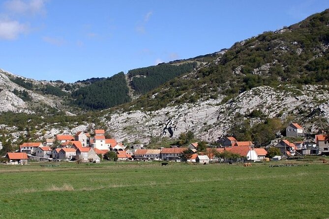 Bike tour - Panoramic downhill from Njegui and Kotor serpentines - Key Points