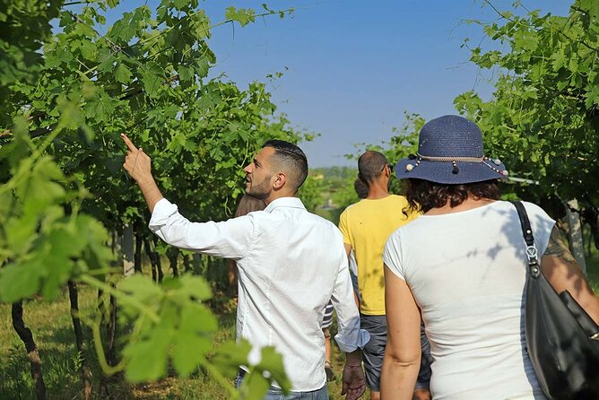 Biodynamic Farm and Natural Wines Tasting in Lazise - A Closer Look at the Experience: What You Can Expect