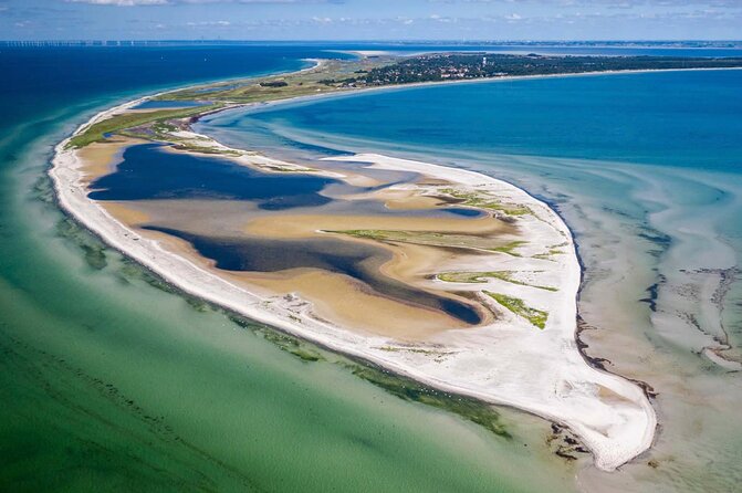 Bird Watching Private Tour in Copenhagen - The Experience in Detail