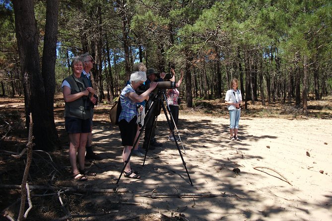 Birdwatching day around Sagres - Exploring the Sagres Birdwatching Experience