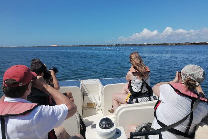 Birdwatching in Ria Formosa - Eco Boat Tour from Faro - Final Thoughts: Who Should Consider This Tour
