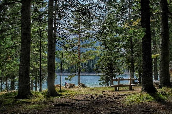 Black Lake and Djurdjevica Tara Bridge (Private tour) - Key Points