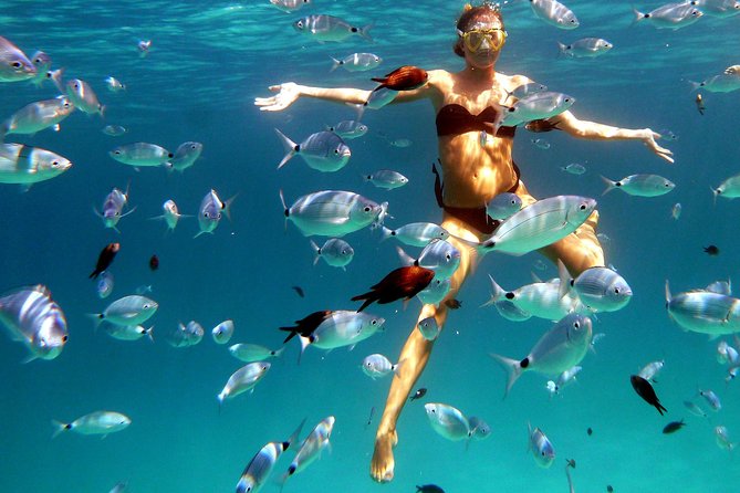 Boat and Snorkeling Private tour max 6 People - The Value of the Experience