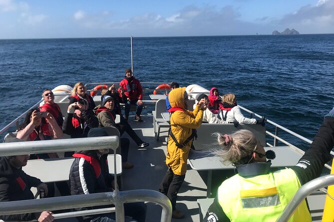 Boat Tour in Vestmannaeyjar - A Deep Dive into the Itinerary