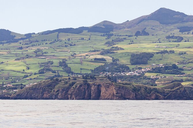 Boat Trip along the North Coast in Capelas - What Makes This Tour Stand Out