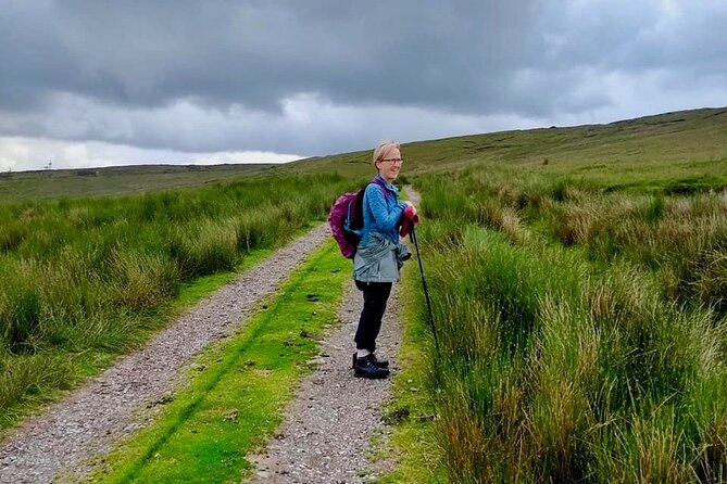 Bog Safari Hike - Key Points