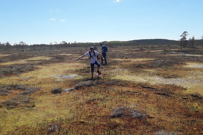 Bog-shoe Hiking Tour - An Authentic Nature Experience Outside Tallinn