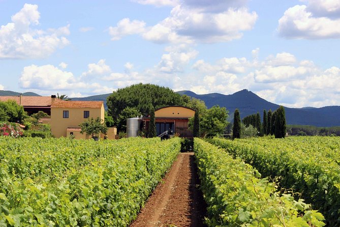 Bolgheri: Classic Wine Tasting with Winery Tour - The Value of the Experience: Balancing Cost and Content