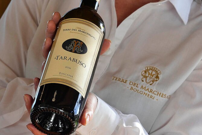 Bolgheri: Premium Wine Tasting with Winery Tour - What Our Readers Say