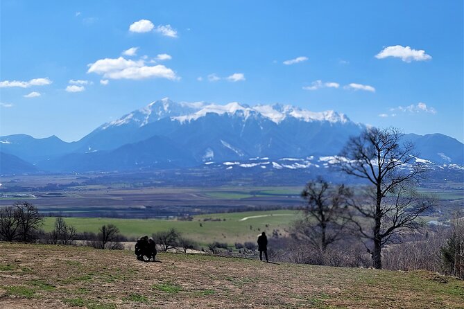 Bran Castle & Bear Sanctuary from Brasov - Optional Peles Castle - Practical Details: What This Tour Means for You