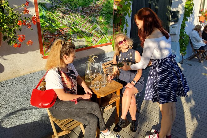 Bratislava City Wine Tasting Tour - Why Choose the Bratislava City Wine Tasting Tour?