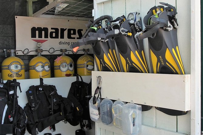 BRELA Bikini Dive *Try SCUBA DIVING* - Location and Meeting Point: Why Brela Is a Solid Choice