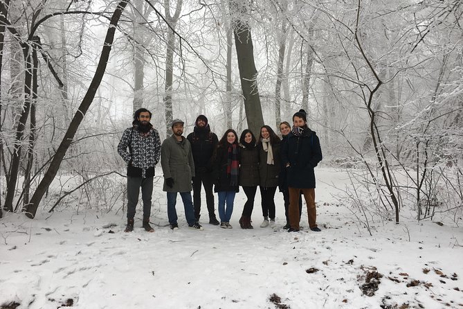 Budapest Hike - A Natural Escape Just Minutes from Budapest