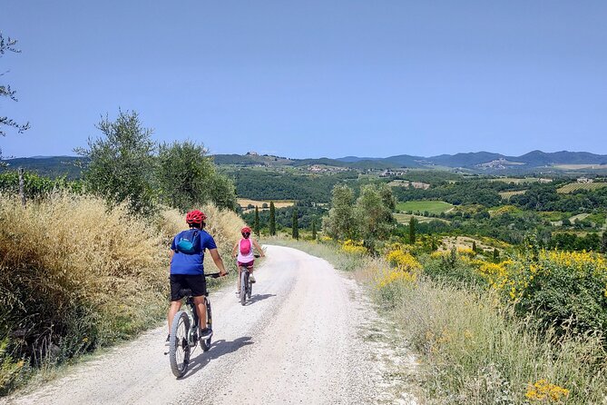 By Ebike: Visit an Art Park and Wine Taste in the Classic Chianti - Practical Details and Value