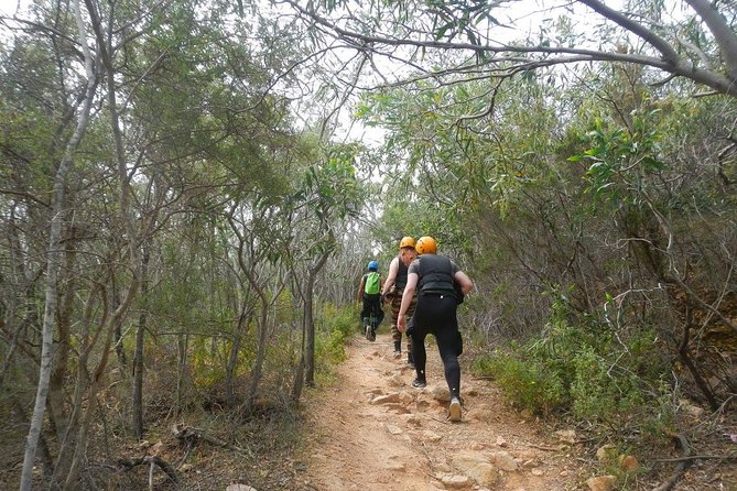 Cagliari Shore Excursion: Professional Guided Coasteering - An In-Depth Look at the Coasteering Experience