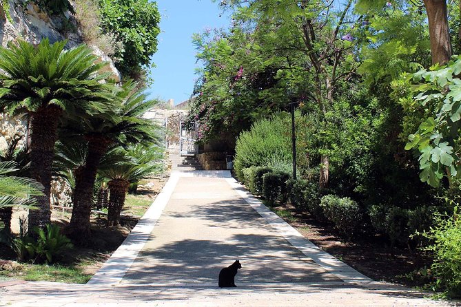 Cagliari urban trekking experience: the city you did not expect - The Sum Up