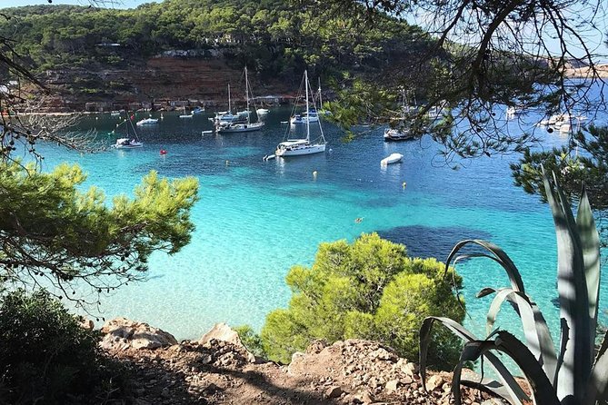 Cala Salada and Unspoiled North Beach Tour. Snorkelling and Aquarium - The Experience on the Water