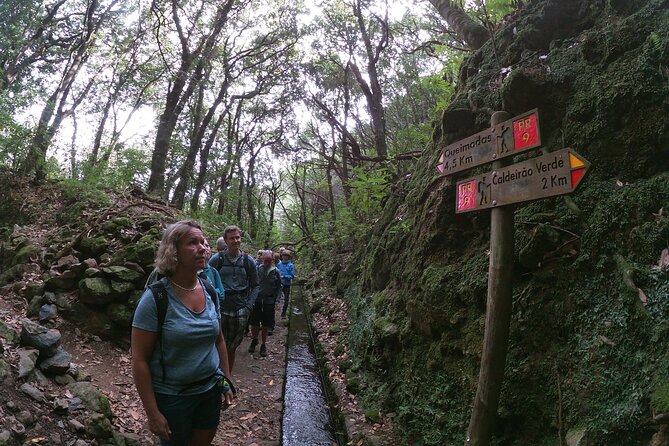 Caldeirão Verde Levada (PR 9) - Guided Madeira Levada Walk - An In-Depth Look at the Tour Experience