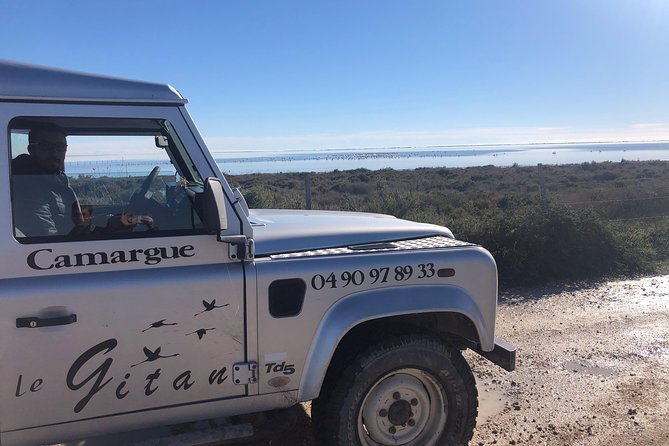 Camargue 4x4 Safari 2 hours Saintes Maries de la Mer - What Is the Camargue and Why Take This Tour?
