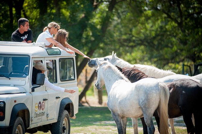 Camargue 4x4 Safari VIP Tour - Duration, Cost, and Practical Tips
