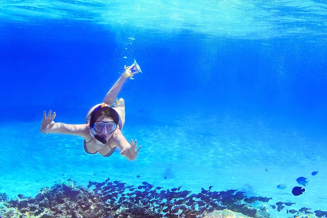 Capri Island Boat Tour from Amalfi with Snorkeling | Small Group - What Travelers Say