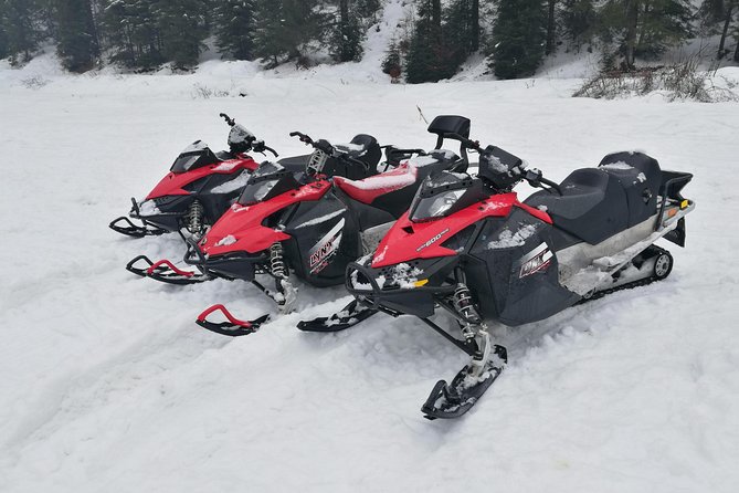 Carpathian mountains Snowmobile, ATV or Buggy tour in one day - A thrilling day in the Romanian mountains