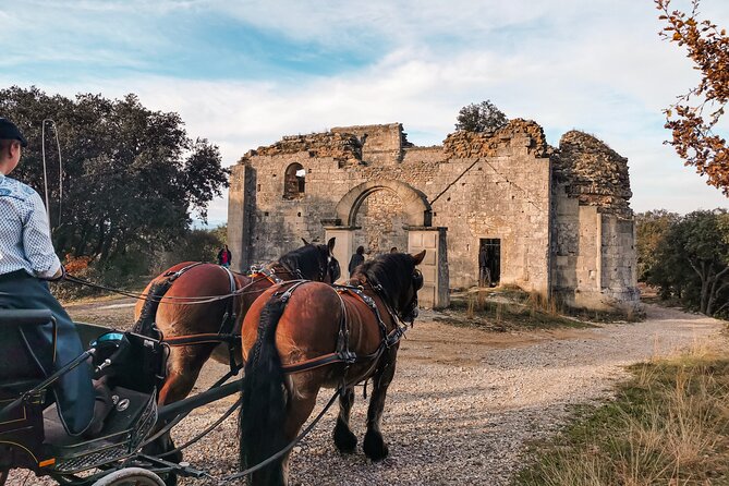 Carriage rides, Pays de Sommières - An Introduction to the Experience