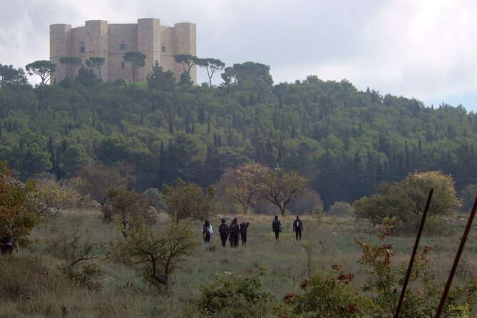 Castel del Monte: excursion in the Alta Murgia National Park - An Overview of the Experience
