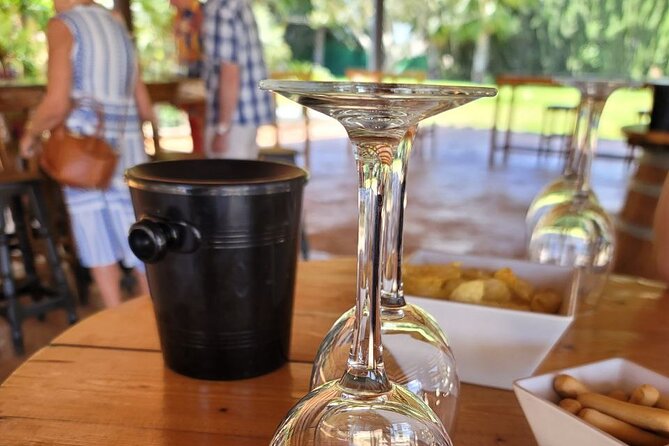Castle Tour in Province of Alicante and Wine Tasting - In-Depth Review of the Castle and Wine Tasting Experience