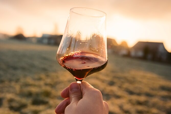 Castle & Wine Tasting - Private Day Trip from Zagreb - Exploring the Route and Its Highlights