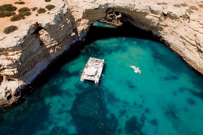 Catamaran Cruise: Caves and Coastline to Benagil - What to Expect from the Itinerary
