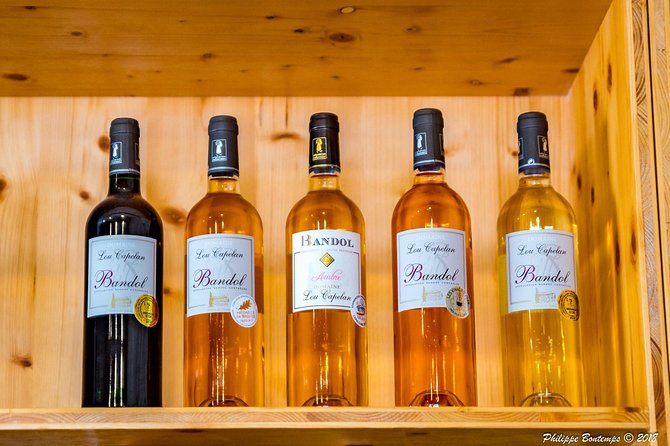 Cellar Visit & Bandol Wine Tasting (in French) - Overview of the Experience