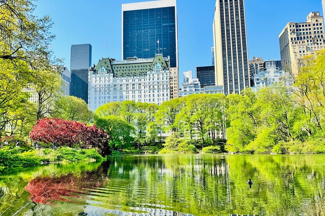 Central Park Pedicab Rides - An In-Depth Look at the Central Park Pedicab Tour