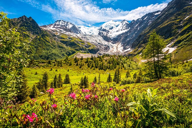 Chamonix and Mont Blanc Private Day Trip from Geneva - Is It Worth the Price?