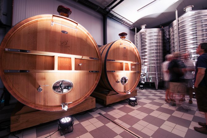 Champagne Albert Beerens Tour & Tasting - Why the Champagne Albert Beerens Tour & Tasting Stands Out
