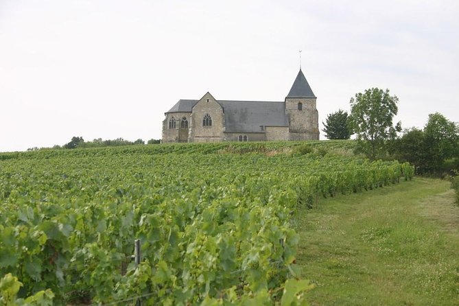 Champagne Day Tours - Final Thoughts: Who Should Book This Tour?