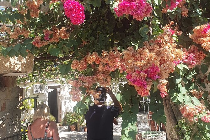 Chania Area: Cooking Class at a Farm in Stylos Village (organic) - A Genuine Taste of Crete: What to Expect from the Tour
