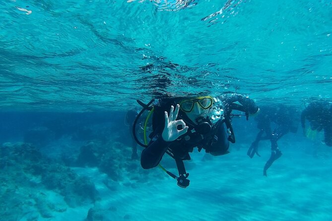 Chania: Scuba Diving for Beginners - An In-Depth Look at the Chania Scuba Experience