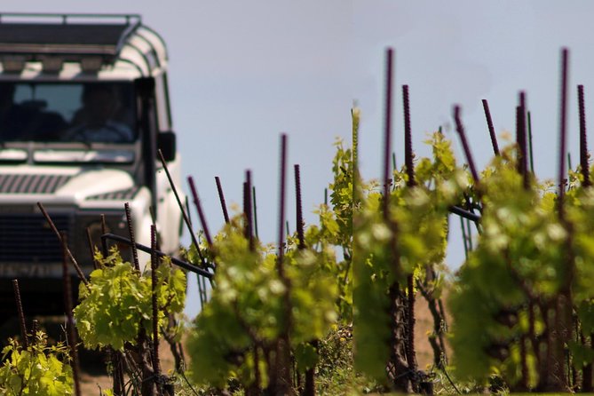 Chania Shore Excursion Off Road Vineyard and Winery Tour Half Day - Why You’ll Love This Experience