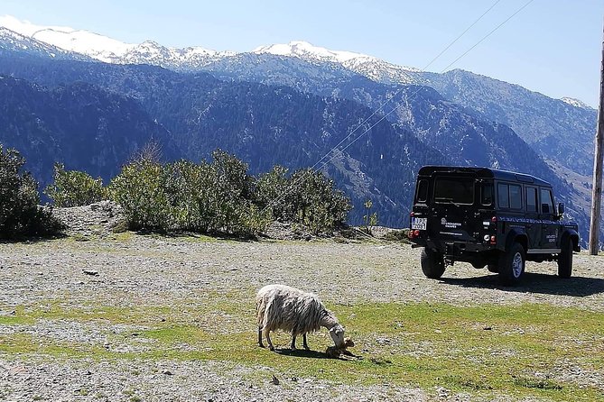 Chania Shore Excursion to the White Mountains - The Itinerary Breakdown: What to Expect