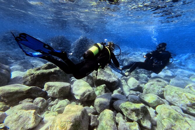 Chania | Try Scuba Diving | Private Introduction Dive - A Close Look at the Experience
