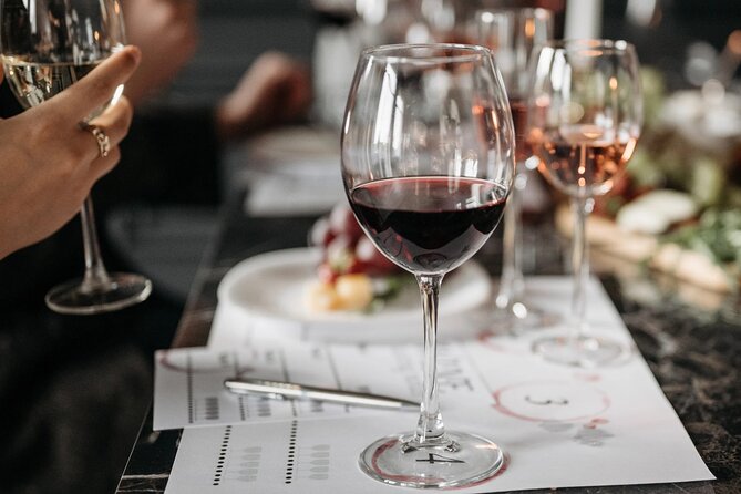 Chateauneuf du Pape and Luberon vineyard tour from Avignon - Transportation and Overall Experience