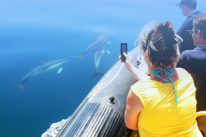Cheapest Family Friendly Boat Trip From Vilamoura Algarve - Who Is This Tour Best For?